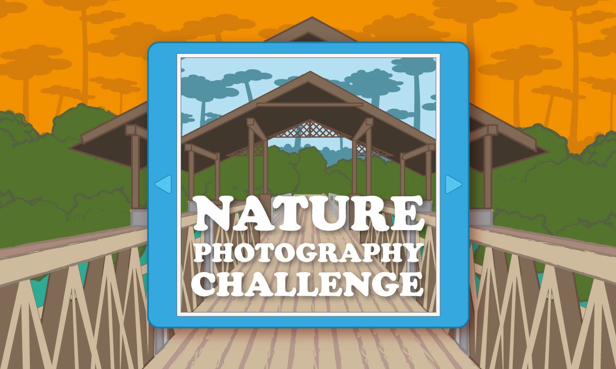 Nature Photography Challenge: Creative Printable Worksheets for Kids