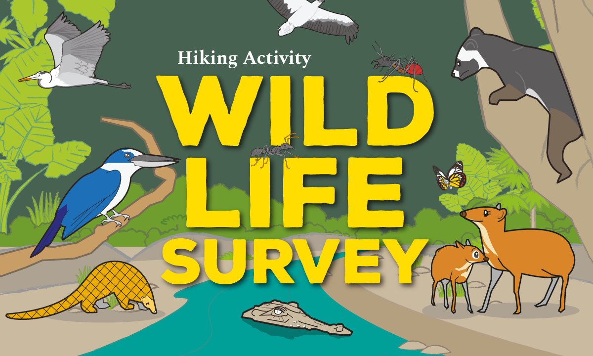 Wildlife Survey Hiking Activity: Creative Printable Worksheets for Kids
