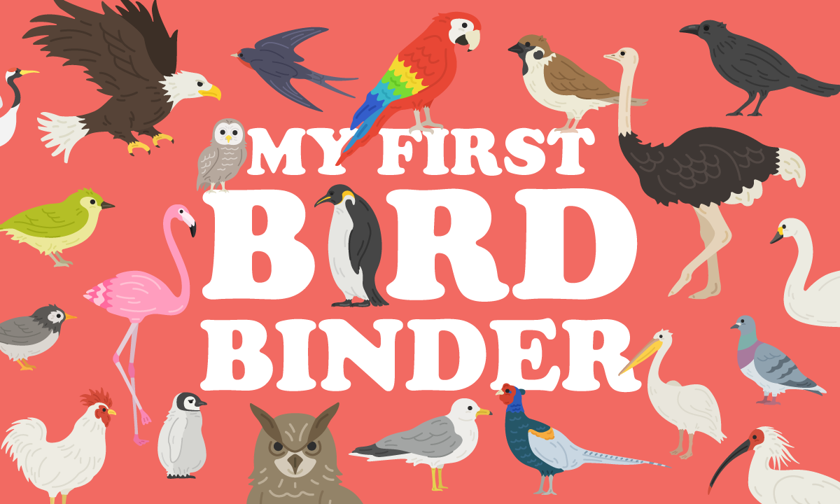 My First Bird Binder: Creative Printable PBL Worksheets for Kids