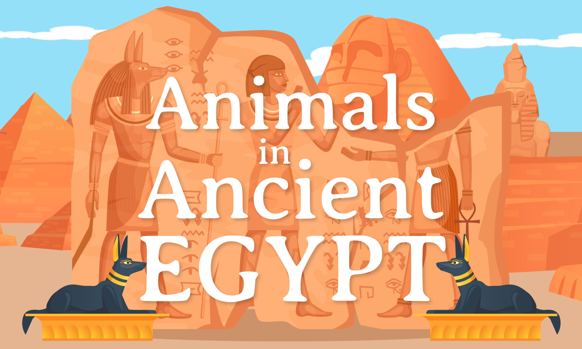 The Animals of Ancient Egypt: Creative Printable History Worksheets