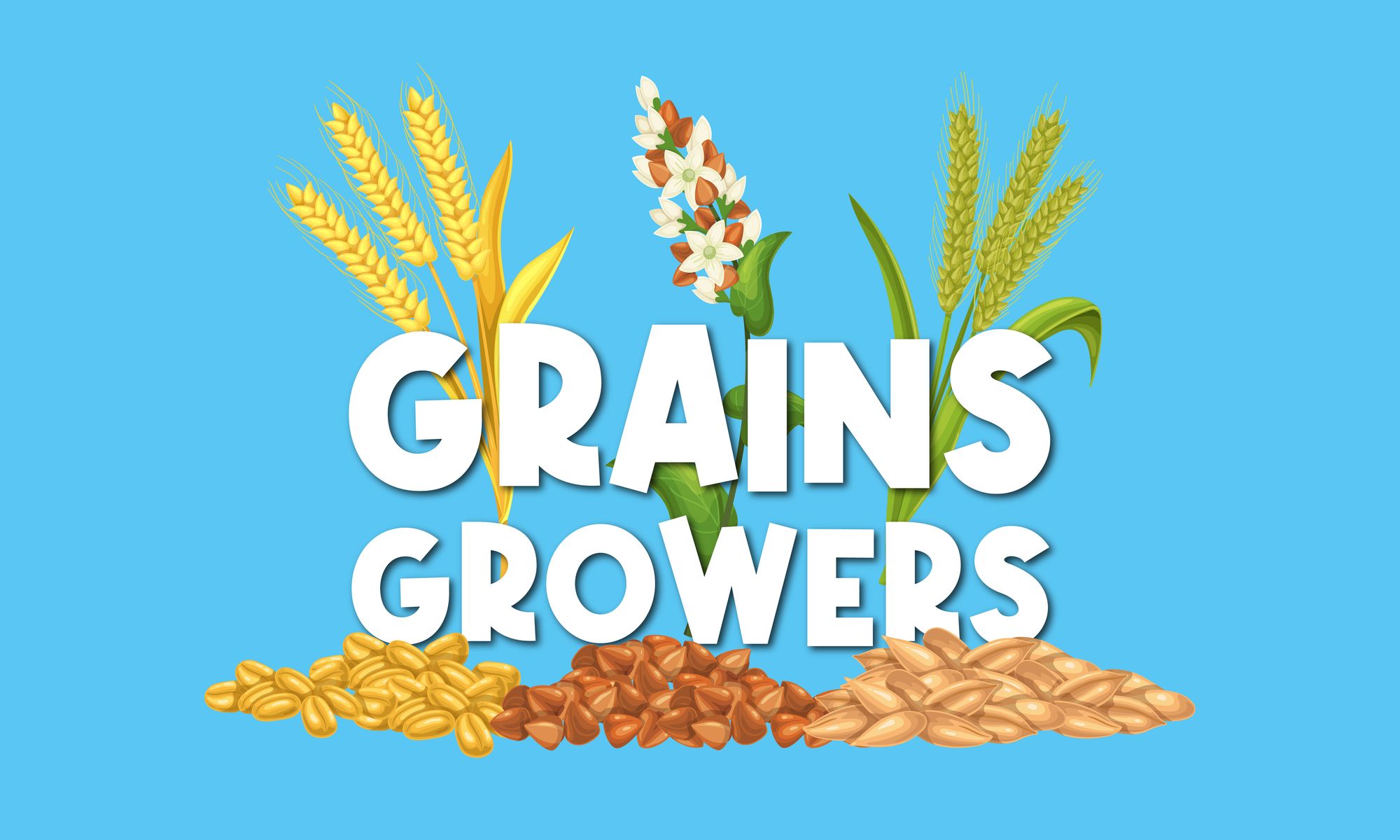 Grain Growers: Wheat, Buckwheat and Rye - Creative Printable Activity ...