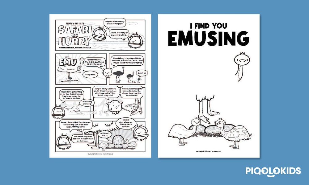 Learn About The Emu: Creative Printable Worksheets for Kids
