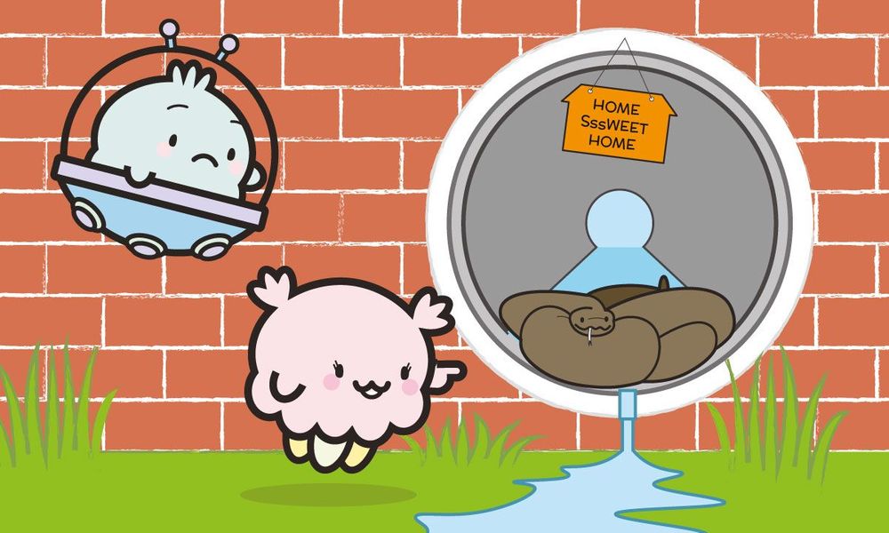 Reticulated Python Fun Facts: Creative Printable Worksheets for Kids