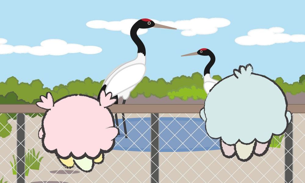 Build Animals With LEGO® Bricks: Creative Challenge for Kids