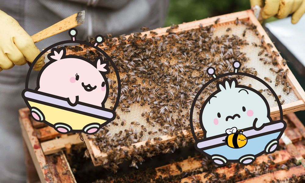 Math is More Fun with Honey: Creative Printable Math Worksheets for Kids