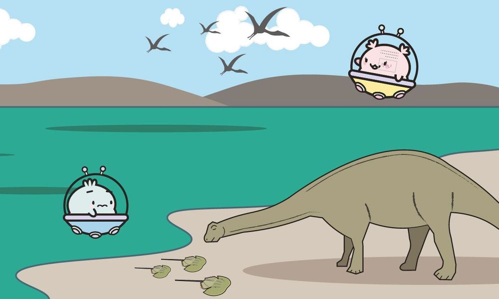 Write a Time Travel Journal: Creative Printable Worksheets for Kids