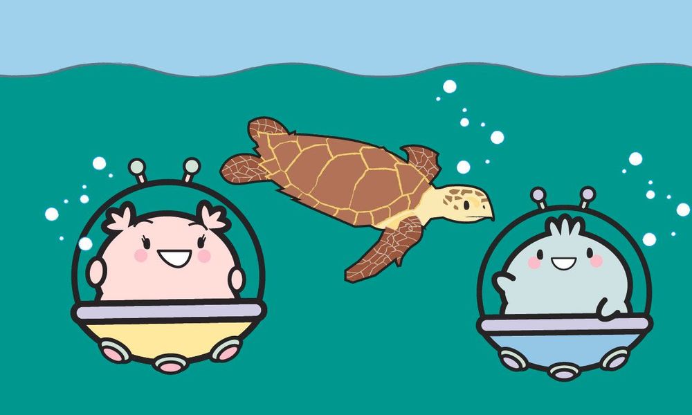 Design Save the Sea Turtle Posters: Creative Printable Worksheets for Kids