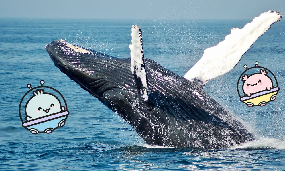 Save the Whales Poster: Creative Printable Worksheets for Kids