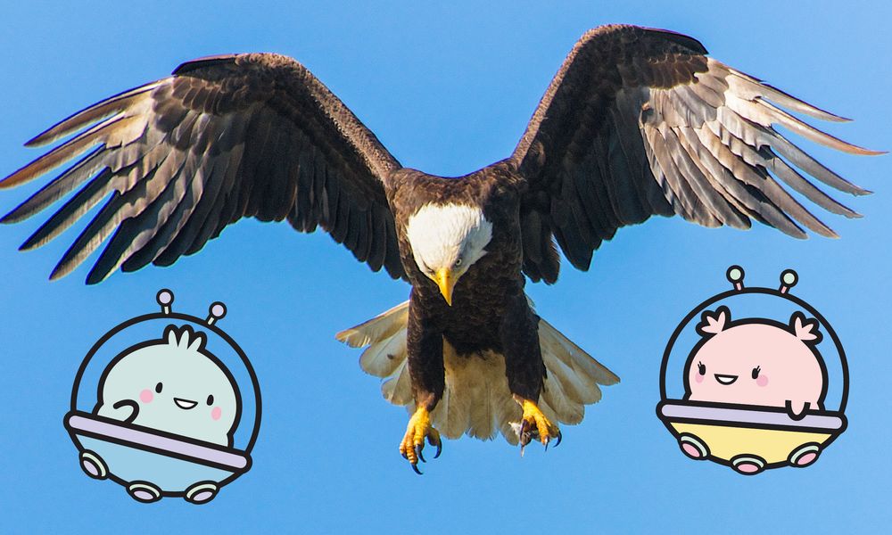 Celebrating Save the Eagles Day Creatively: Printable Activity