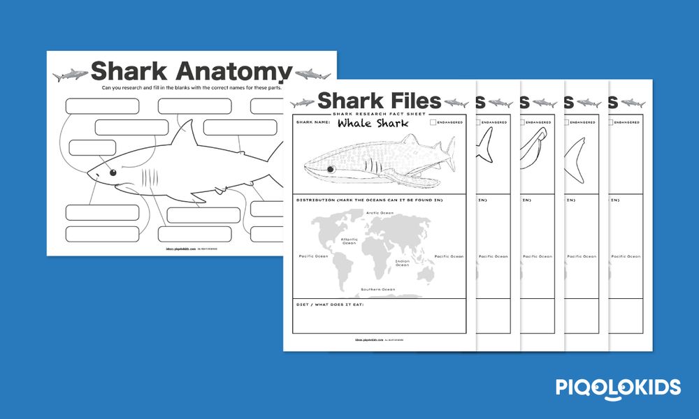 Shark Files: Teaching about Different Shark Species