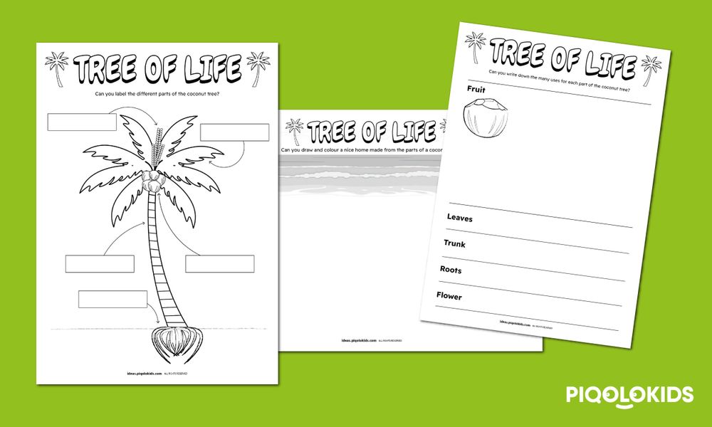 The Coconut Tree: A Tree of Many Uses - Creative Printable Activity for ...