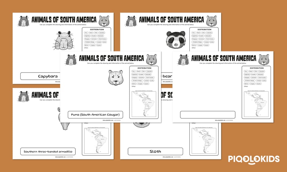 Animals of South America 2: Creative Printable Art and Map Activity for ...