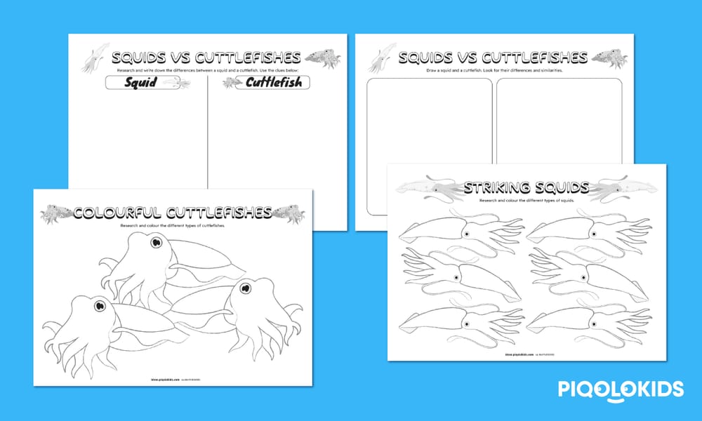 Squids versus Cuttlefishes: Creative Printable STEM Activity for ...