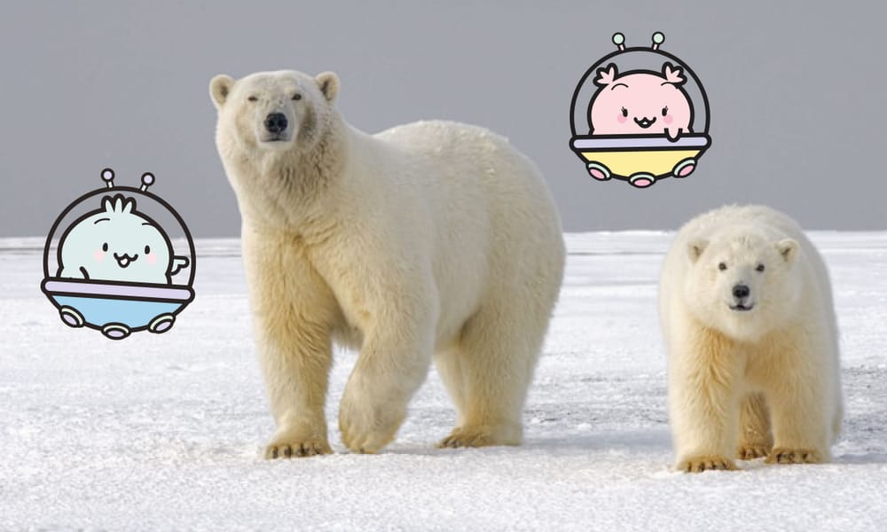 Polar Bears and Adaptations: Creative Printable Science Activity for ...