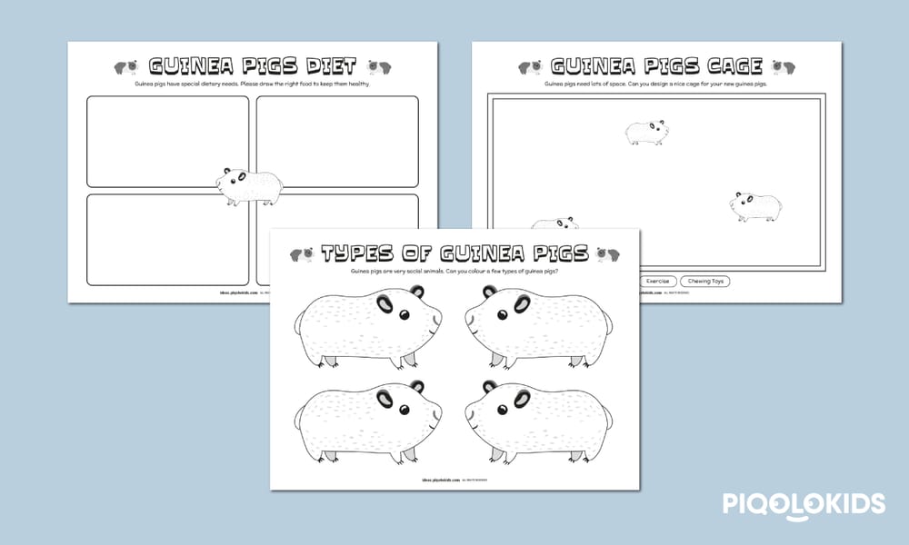 Pet Files: Guinea Pigs - Creative Printable Activity Sheet for ...