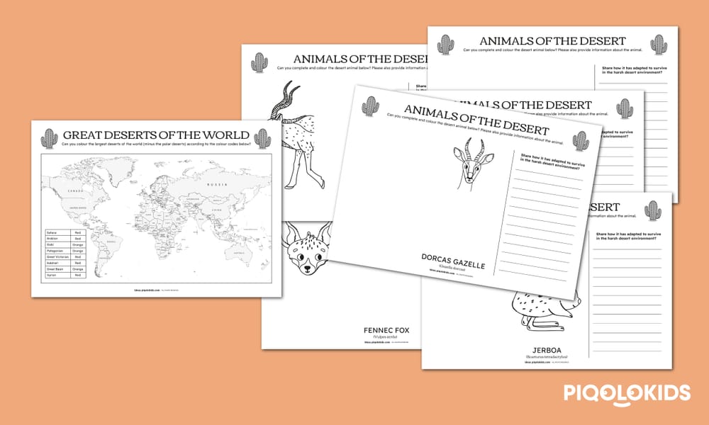Animal Adaptations: Desert Animals - Creative STEM Geography Printable ...