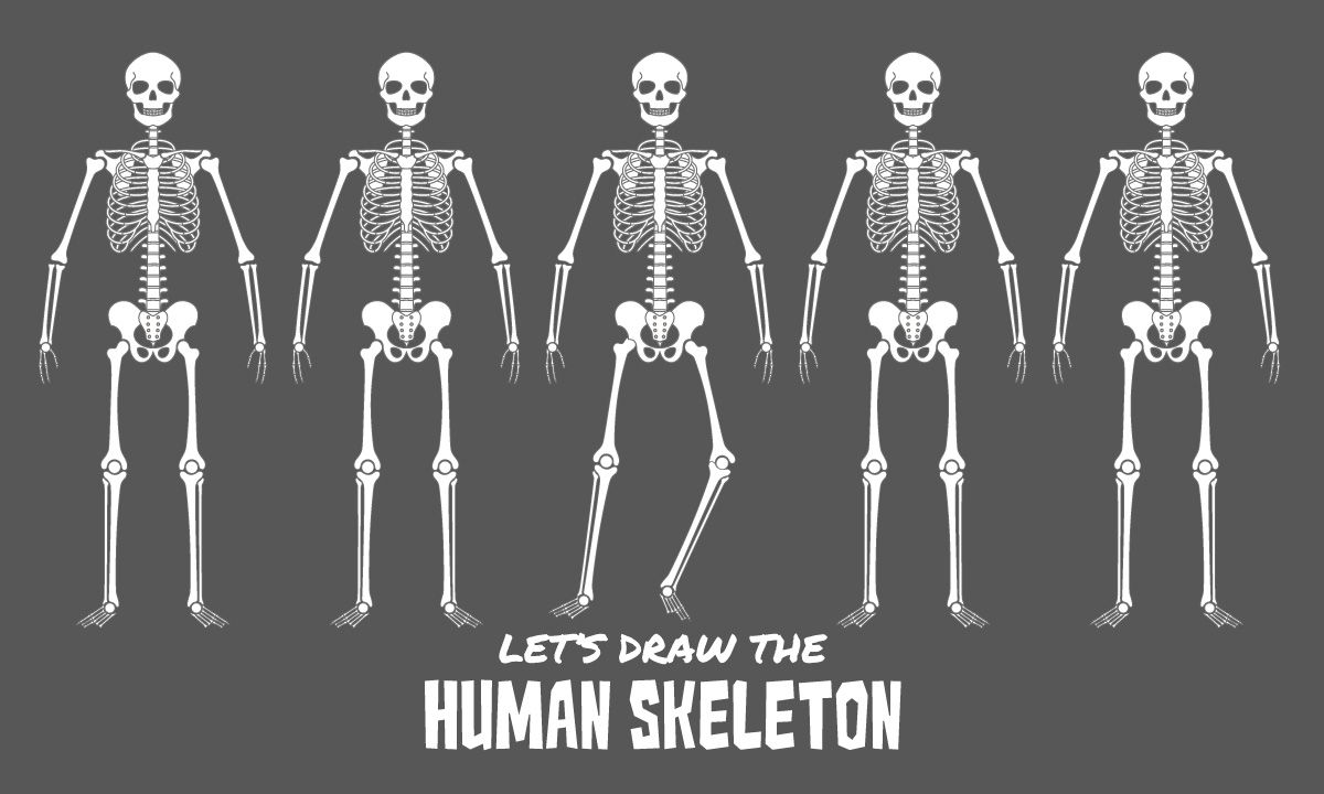 Draw Human Skeletons: Creative Printable Worksheets for Kids