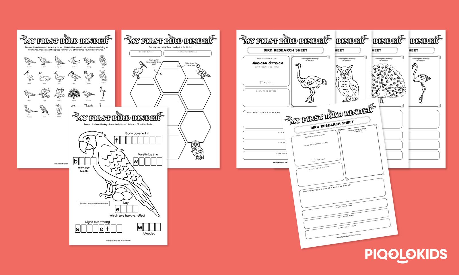 My First Bird Binder: Creative Printable PBL Worksheets for Kids