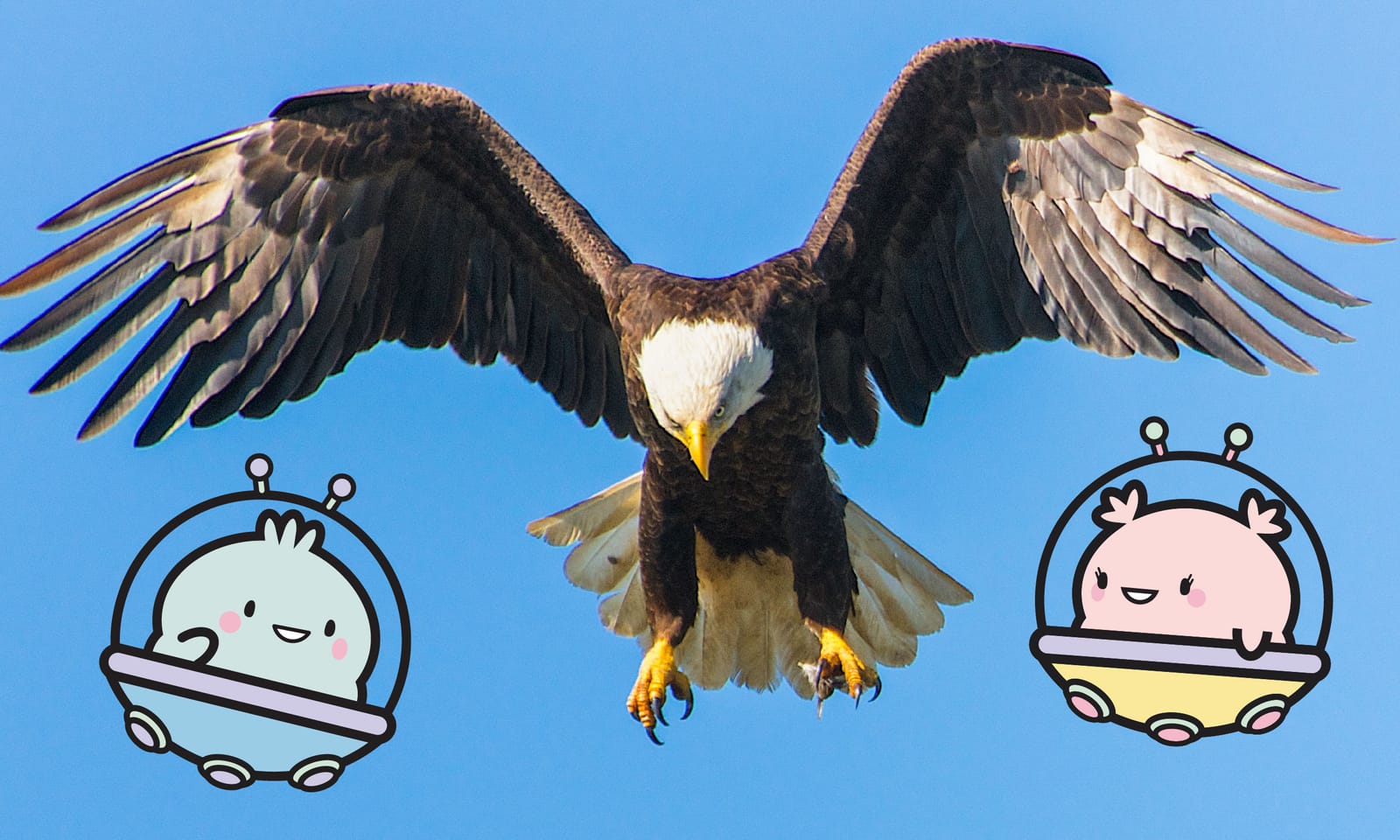 Celebrating Save the Eagles Day Creatively: Printable Activity