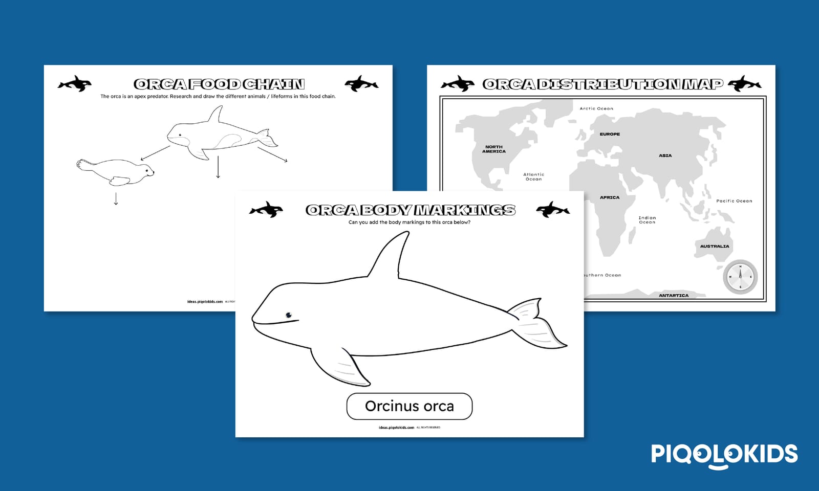 Apex Predator of the Seas: Orcas - Creative Printable Worksheets for Kids