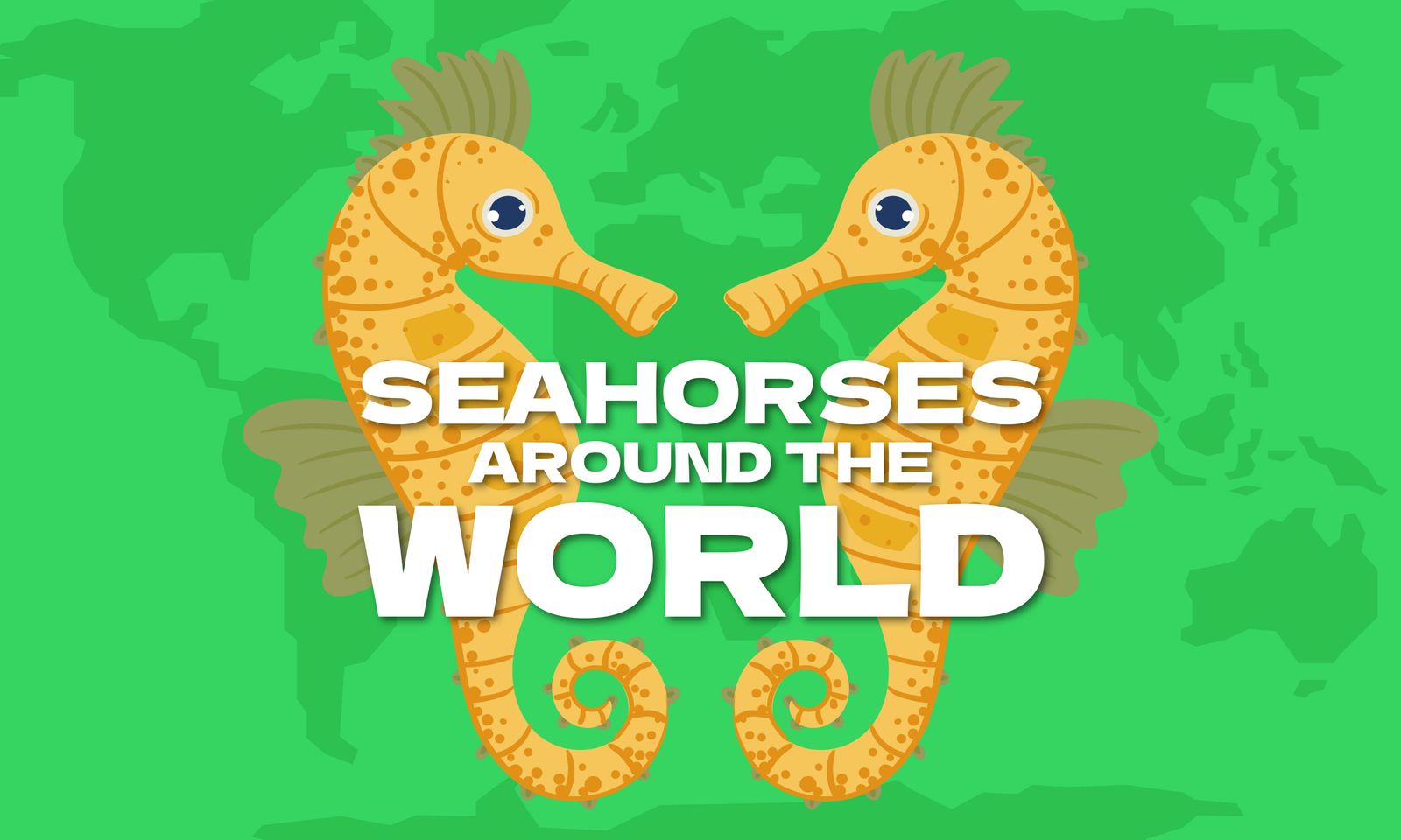 Seahorses Around The World: Colouring and Mapping Printable Activity
