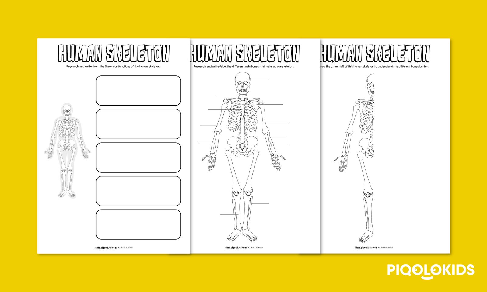 Draw Human Skeletons: Creative Printable Worksheets for Kids