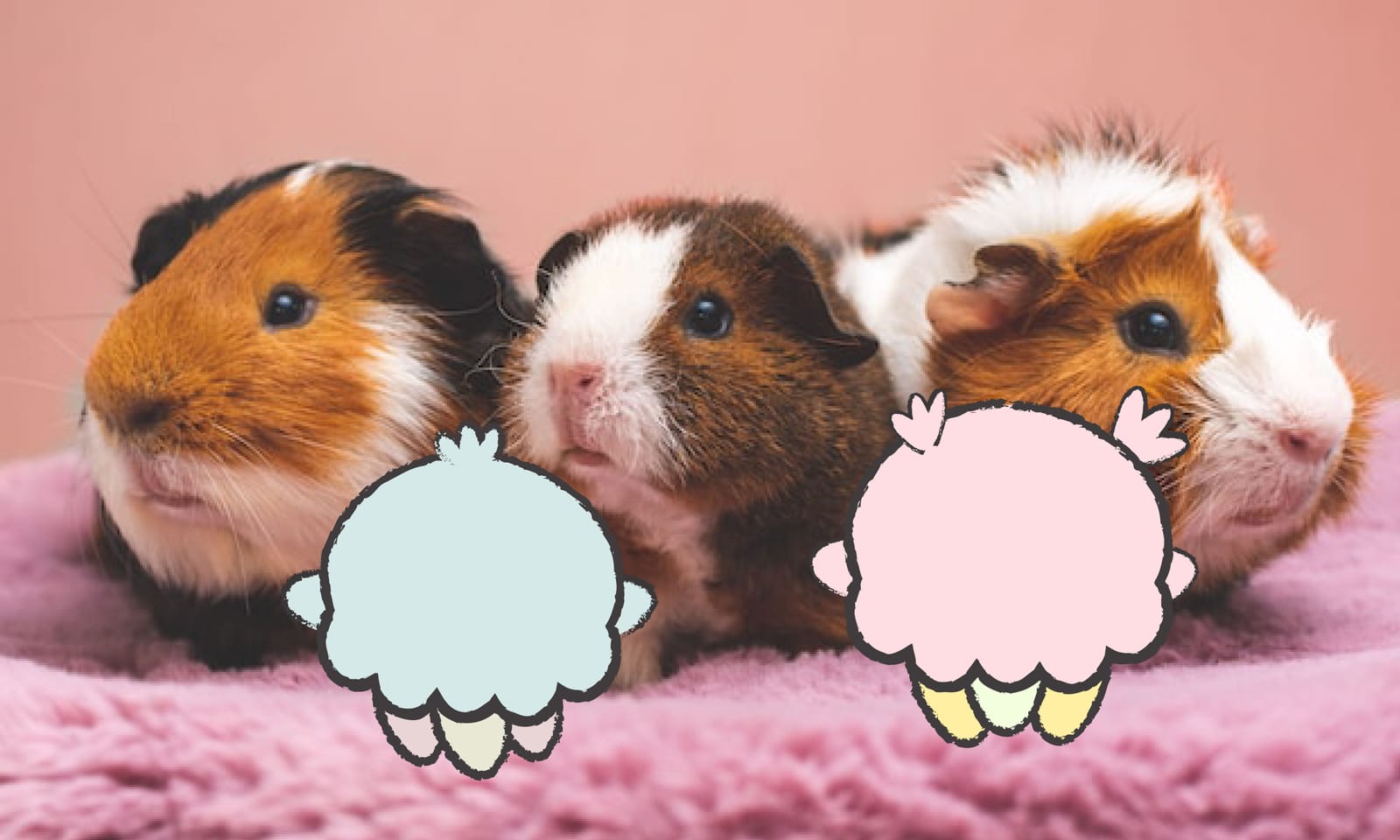 Pet Files: Guinea Pigs - Creative Printable Activity Sheet for ...