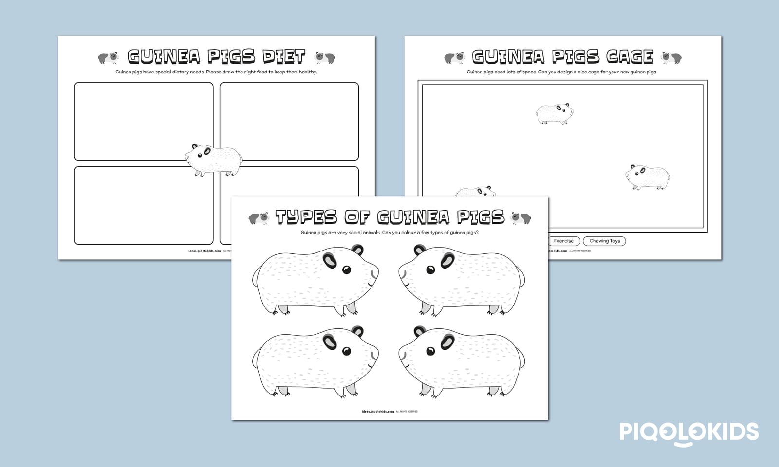 Pet Files: Guinea Pigs - Creative Printable Activity Sheet for ...