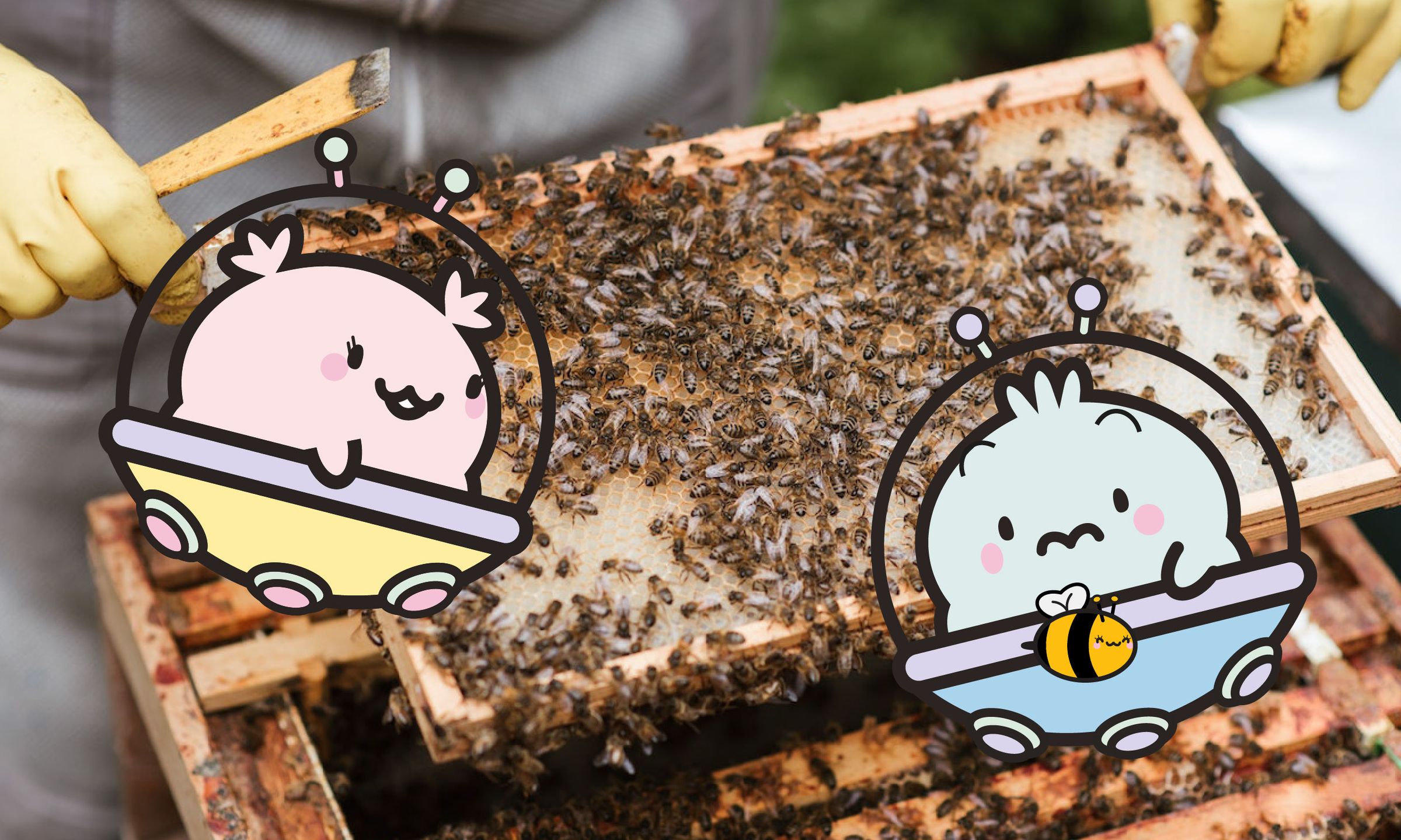 Math is More Fun with Honey: Creative Printable Math Worksheets for Kids