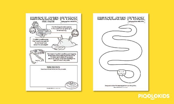 Reticulated Python Fun Facts: Creative Printable Worksheets for Kids