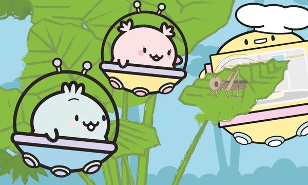 Let's Draw Bug Biscuits: Creative Printable Worksheets for Kids