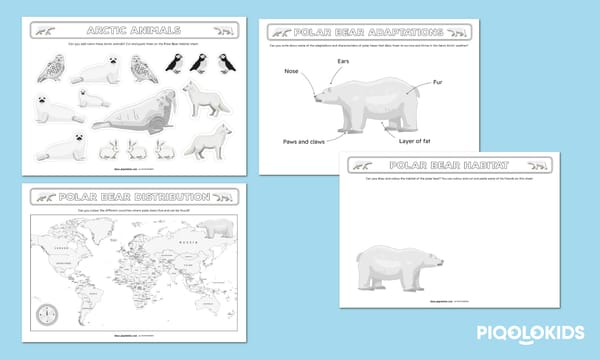 Polar Bears and Adaptations: Creative Printable Science Activity for ...