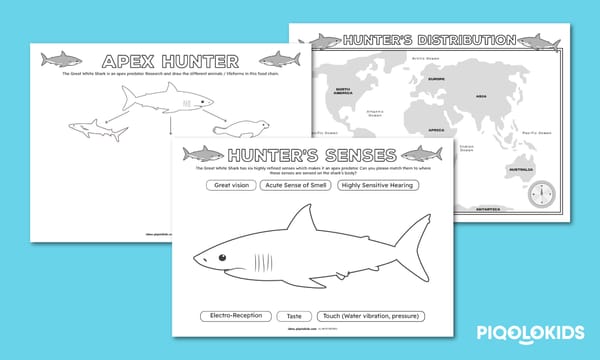 Apex Predators of the Sea: Great White Sharks - Creative Printable ...