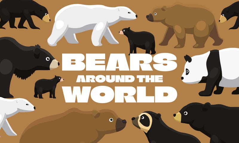 Bears Around the World: Learn About Continents Through Wildlife